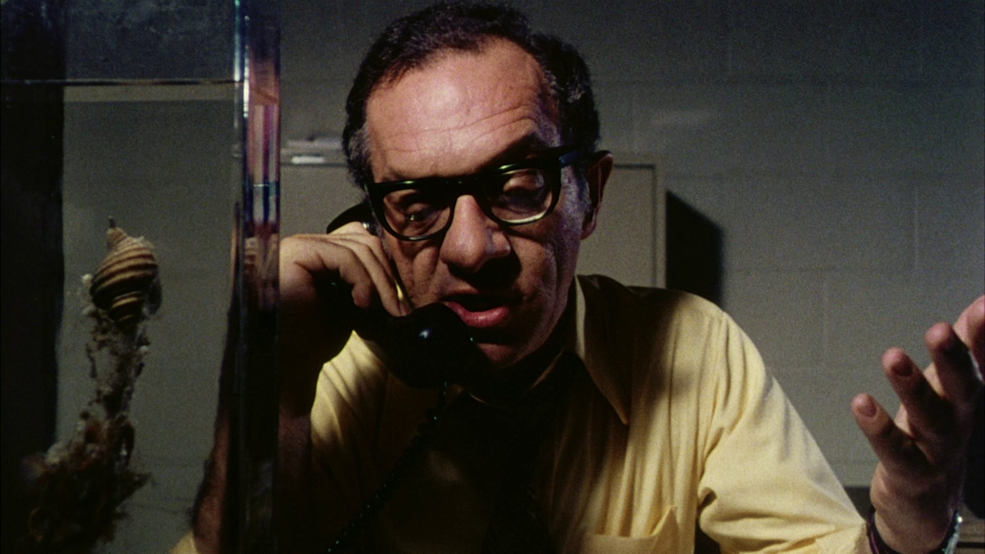 Body horror en MUBI: cinco películas imperdibles - ZoomF7